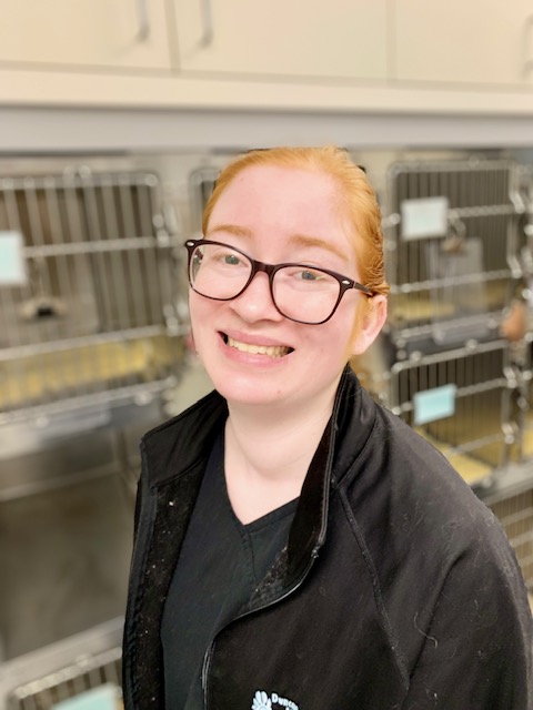 Our Team | Duncan Animal Hospital